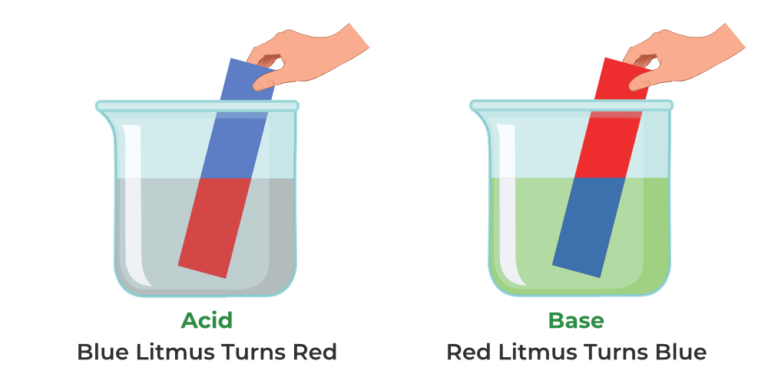 What Is Feed Acid? - Tamlong